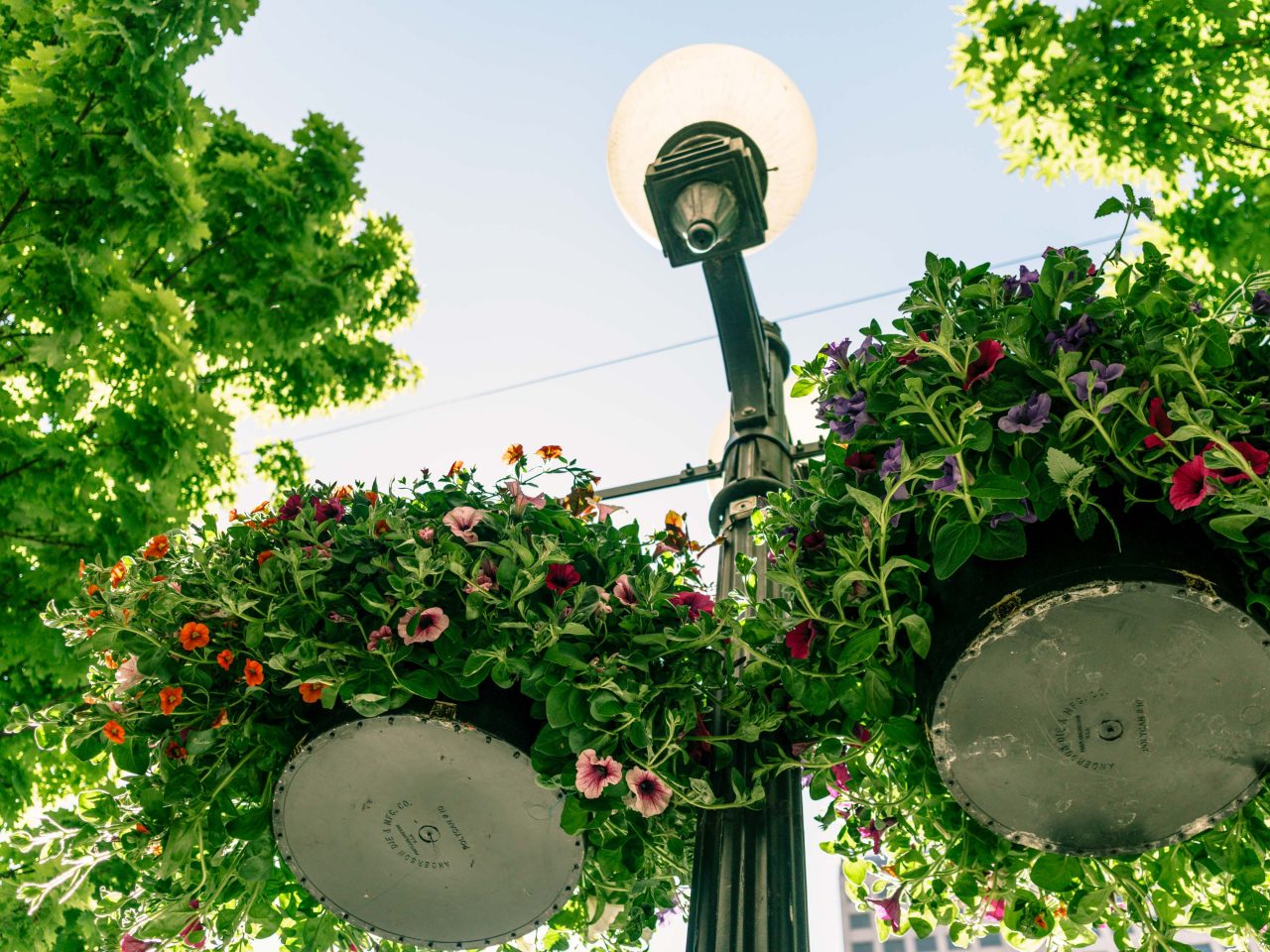 Public Space Projects Archive – Downtown Seattle Association