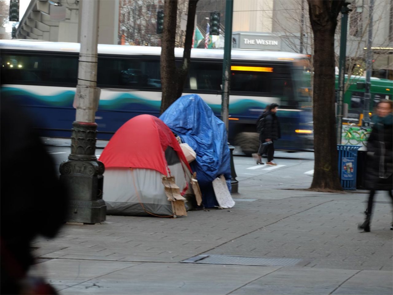 Downtown Stakeholders Demand Thoughtful Process Before Dismantling the ...